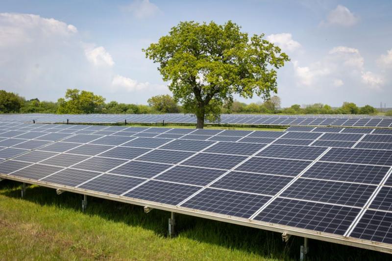 Committee on Climate Change - BBC News