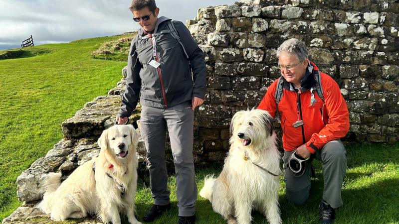 Hadrian's Wall dog ranger volunteers needed in Northumberland - BBC News