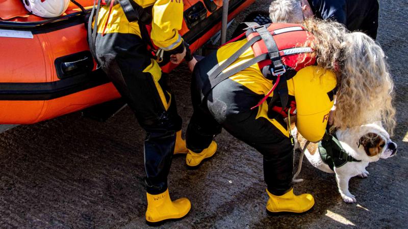 RNLI saved 82 lives at sea in the South West in 2024 - BBC News