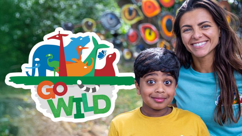 CBeebies Homepage - CBeebies - BBC