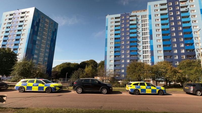Luton: Murder suspect son and brother of three victims - BBC News