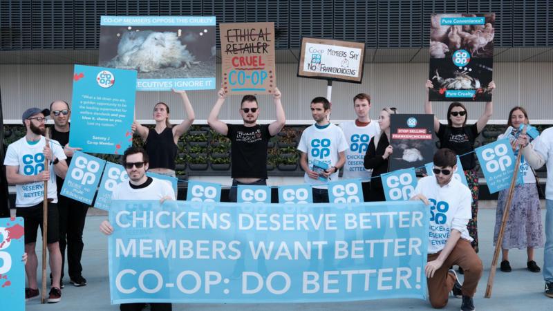 Animal rights - BBC News