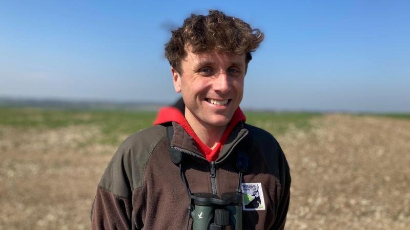Saving the peewit: Hope for 'iconic' country bird - BBC News