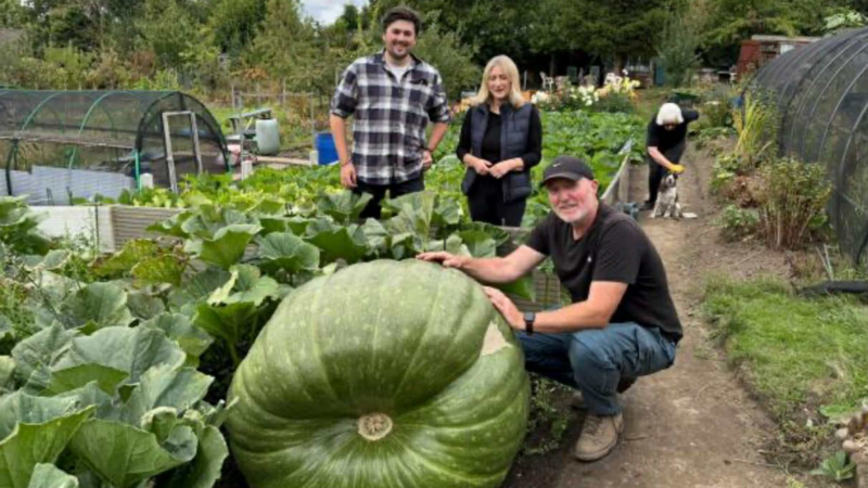 'How I grow my giant vegetables' - BBC News
