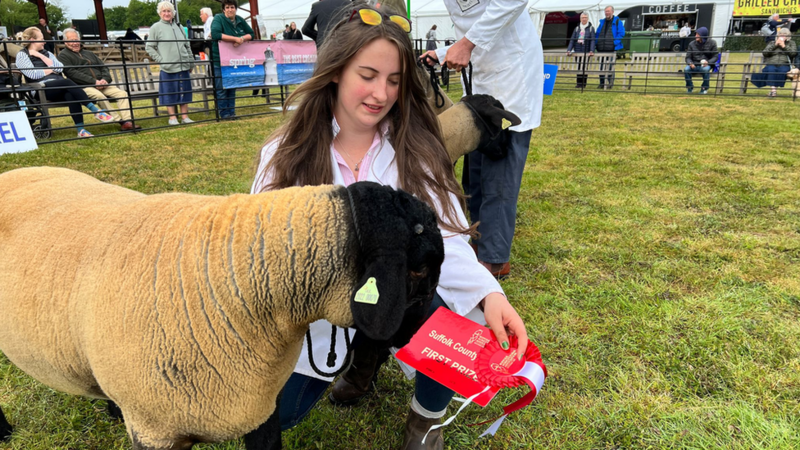 Suffolk Show: Everything you need to know - BBC News