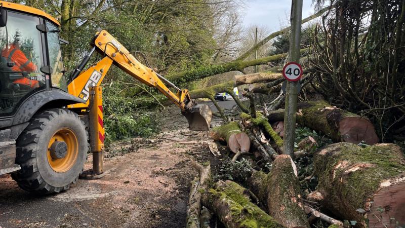 Newyddion a mwy - BBC Cymru Fyw