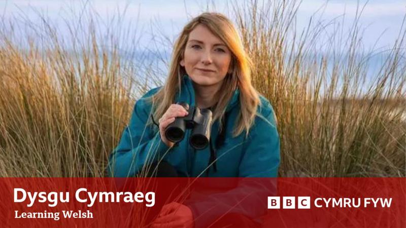 Dysgu Cymraeg / Learning Welsh