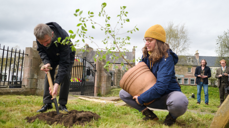 New life at site of Highlands' Beauly Elm - BBC News