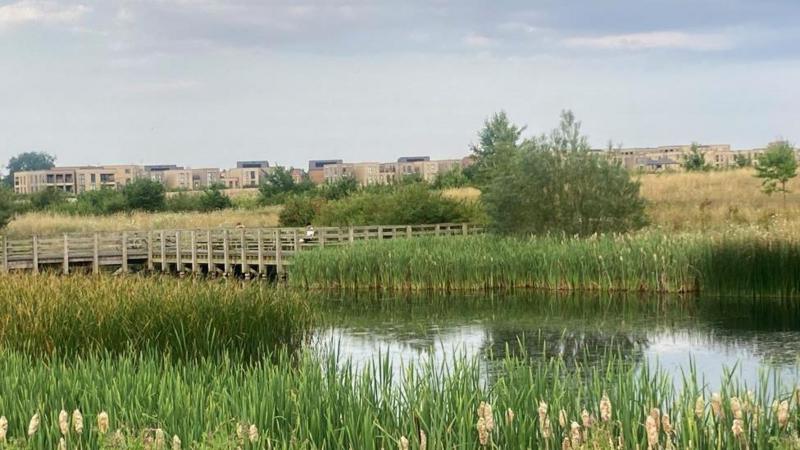 Is there a way to successfully build on the green belt? - BBC News