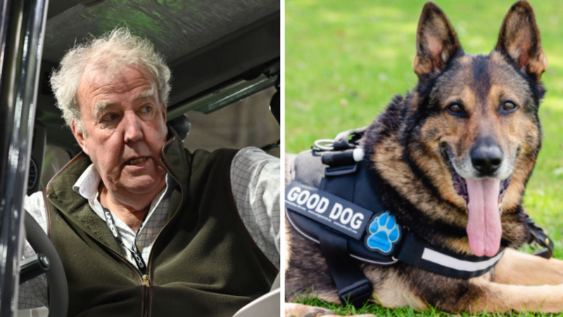 Jeremy Clarkson - BBC News