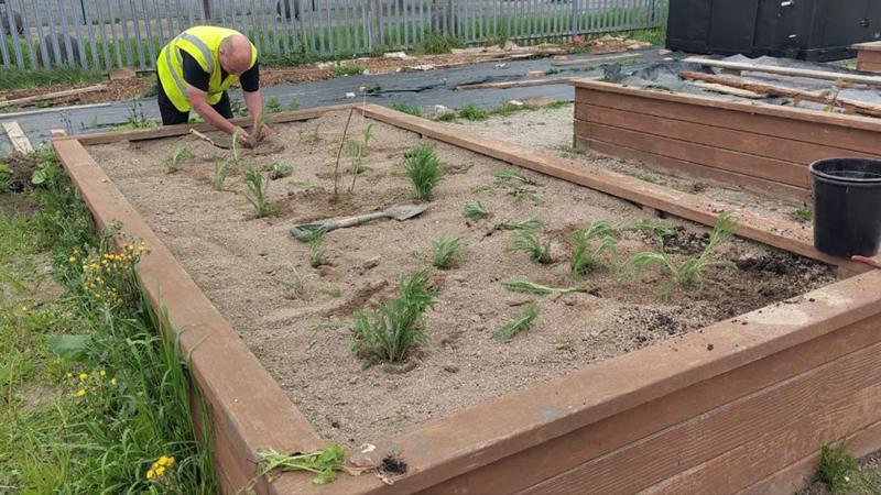 Postcode Gardener project for Hull's Orchard Park estate - BBC News