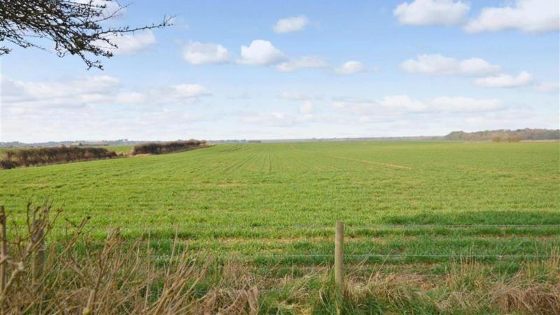 Arun District Council - BBC News