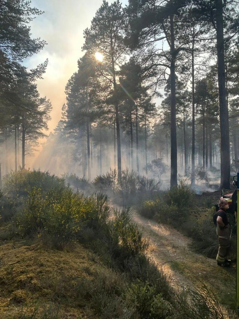 Firefighter photos reveal wildfire damage to Culbin forest - BBC News