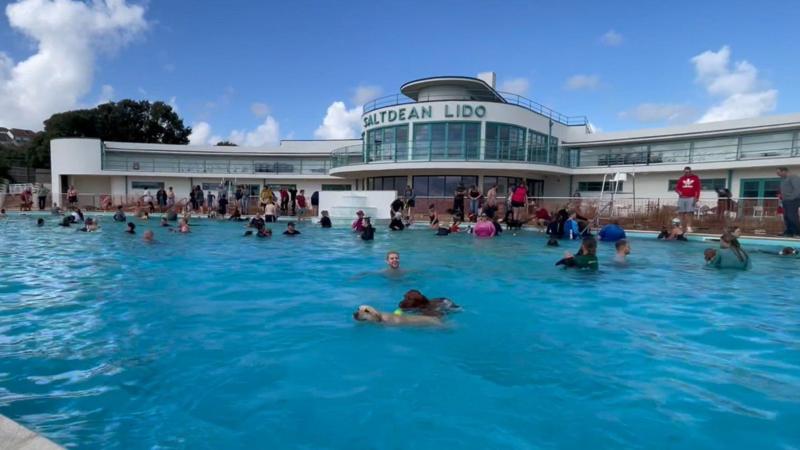 Saltdean Lido welcomes dogs for annual fundraiser - BBC News