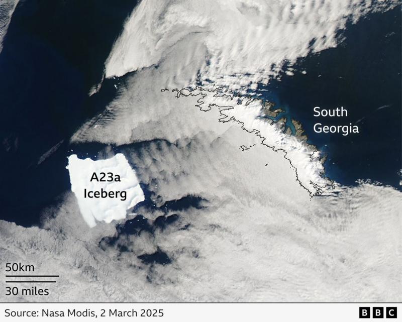 A23a: World's biggest iceberg runs aground off remote island - BBC News