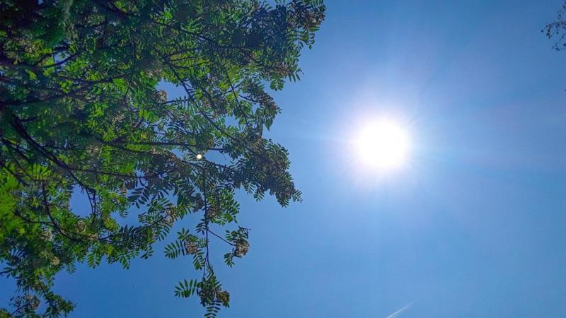 'Mini heatwave' forecast as temperatures to hit 26C - BBC Weather