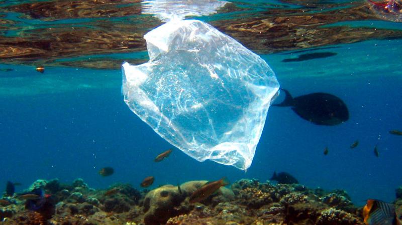 Plastic bag charge - BBC News