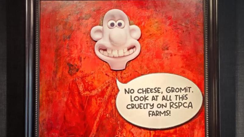 Farm welfare concerns leads to RSPCA Assured food label review - BBC News