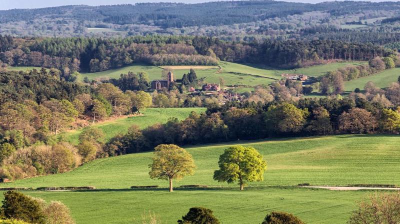 Natural England - BBC News