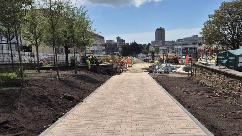 Ancient woodland threatened by £156m Manadon upgrade in Plymouth - BBC News