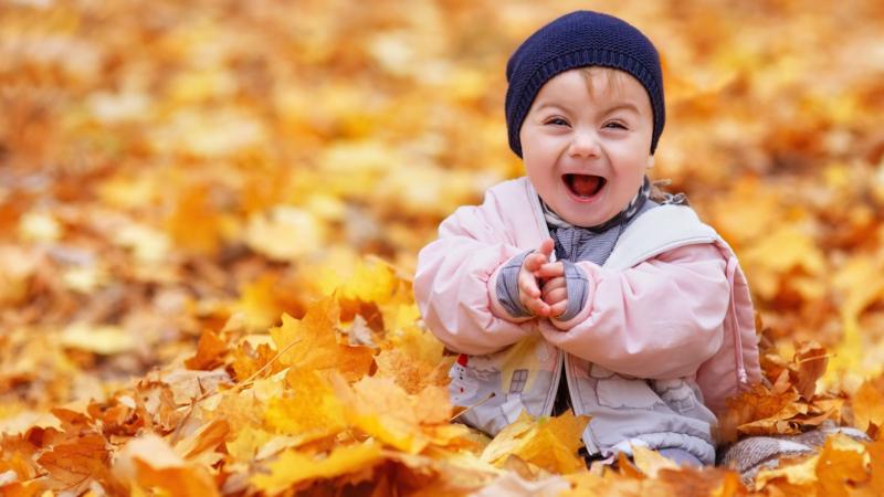 BBC Tiny Happy People