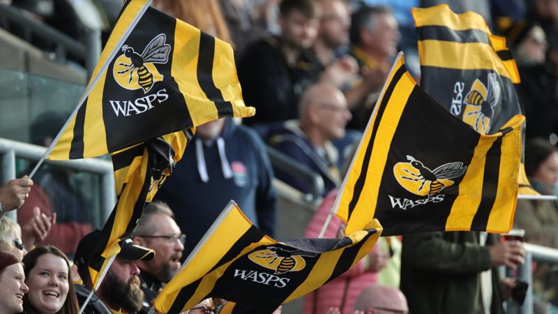 Wasps - BBC Sport