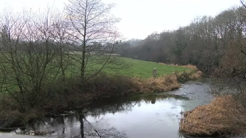 Welsh environment law aims to protect rivers and nature - BBC News