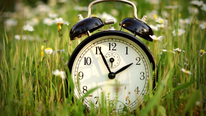 When does spring officially begin? - BBC Weather