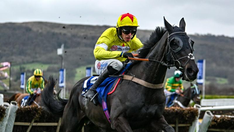 David Power Jockeys' Cup: New horse racing competition launches with £ ...
