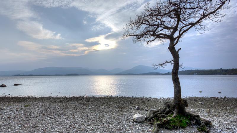 Your Pictures of Scotland: 22 - 29 April - BBC News