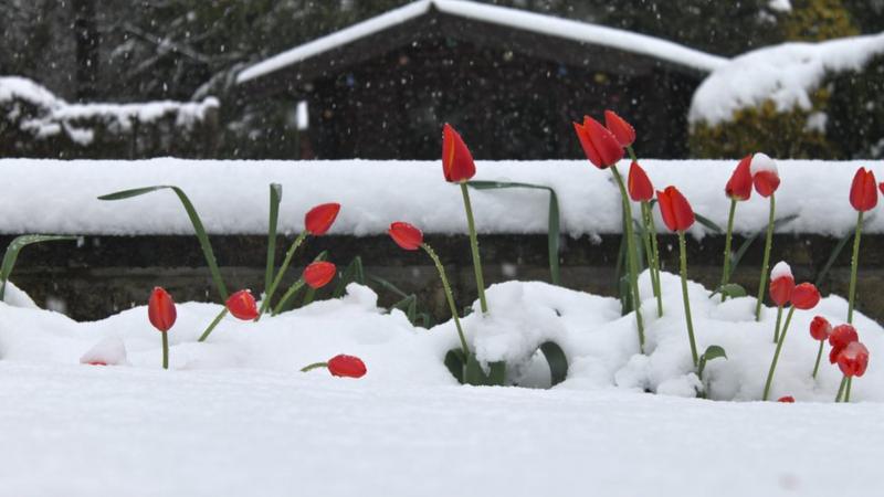 Your weather images - BBC Weather