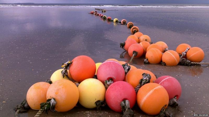 In pictures: Northern Ireland in the season of mists - BBC News