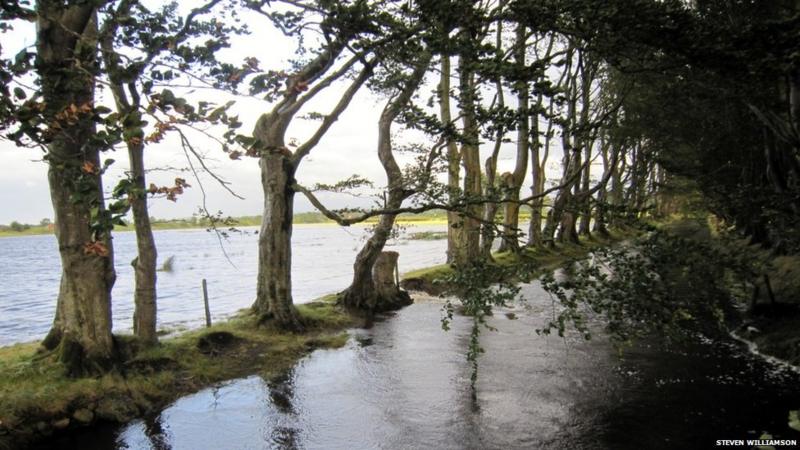 In pictures: Northern Ireland in the season of mists - BBC News