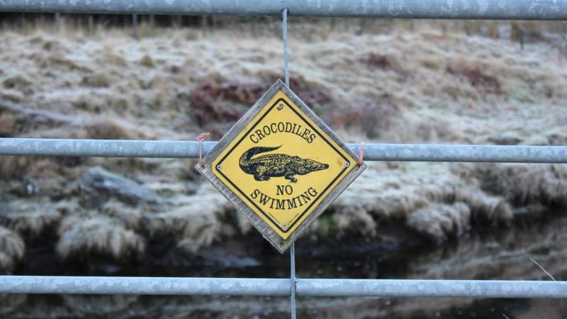 Your pictures of Scotland: 11 - 18 January - BBC News