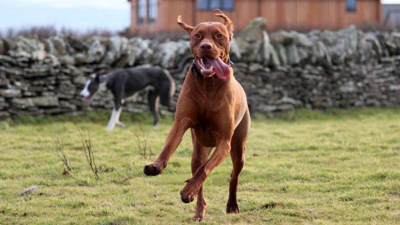 Your pictures of Scotland: 22 February - 1 March - BBC News