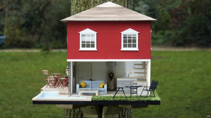 Check out the super-luxury birdhouse - BBC Newsround
