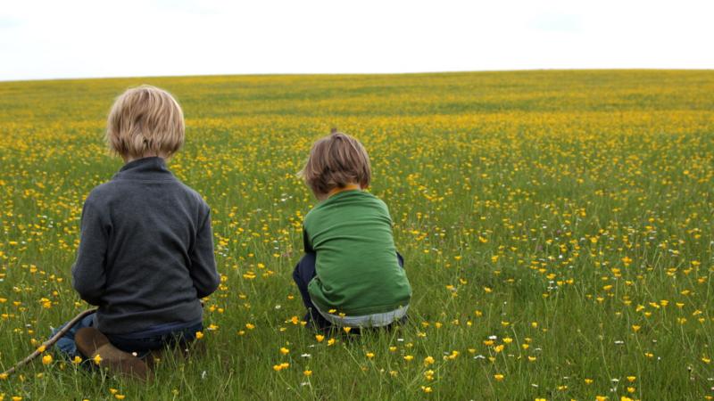 Disabled children 'more likely to be bullied' - BBC News