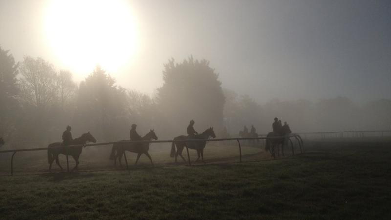 Newmarket: Photos of the gallops, racecourse and stud - BBC Sport