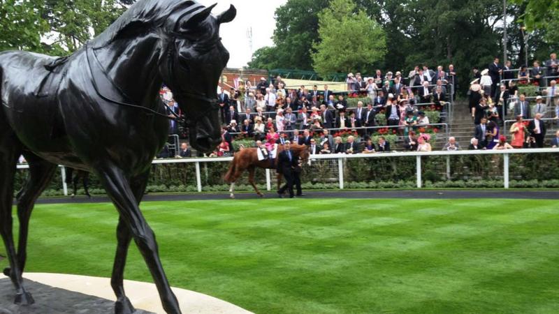 Royal Ascot: Behind the scenes in pictures - BBC Sport