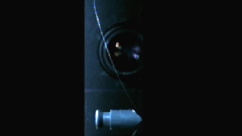 Limpet teeth set new strength record - BBC News