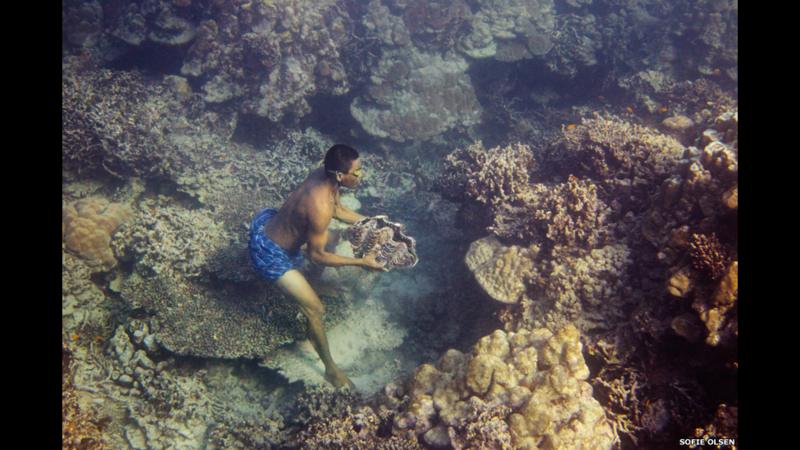 In pictures: The Moken - BBC News