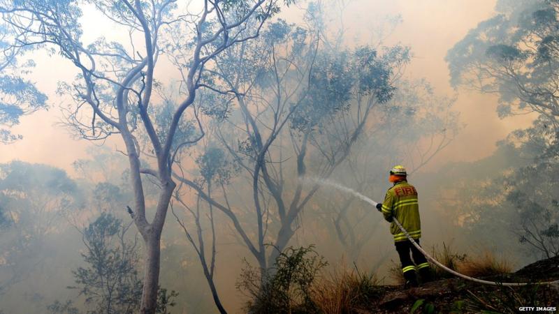 In pictures: Australia bushfires - BBC News