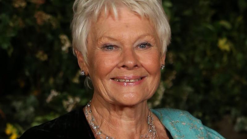 Dame Judi: I love Tracey Ullman's 'evil Judi' sketches - BBC News