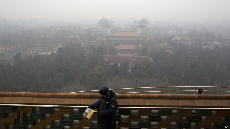 Day in pictures: 24 February 2014 - BBC News