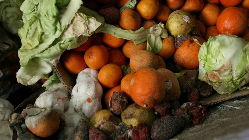'Stinky' Leicestershire vegetable factory smell plan approved - BBC News