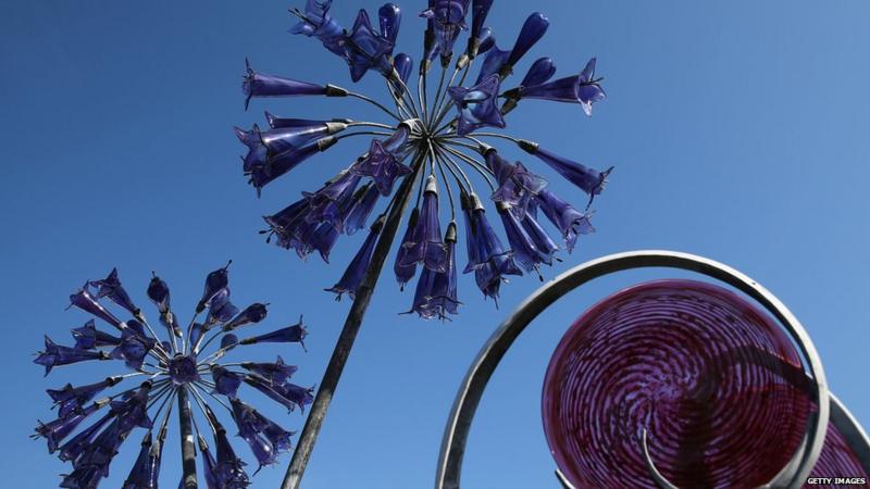 Pictures of the 2014 Chelsea Flower Show - BBC Newsround