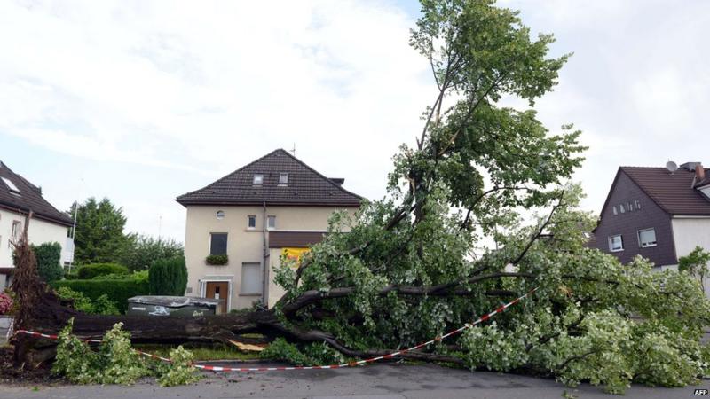 In pictures: Storms batter Germany - BBC News