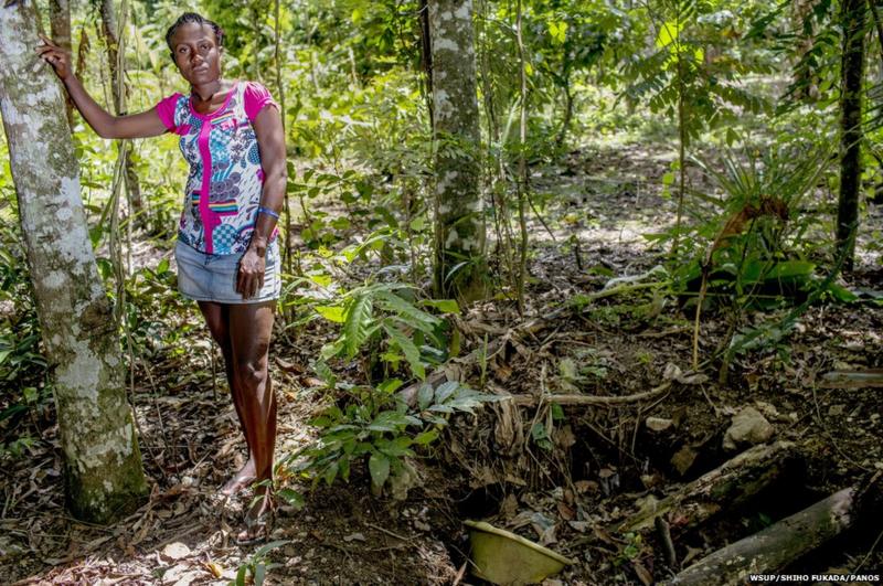 In pictures: My toilet - BBC News