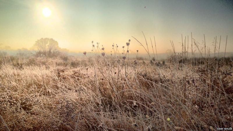 Your solstice sunrise pictures - BBC Weather