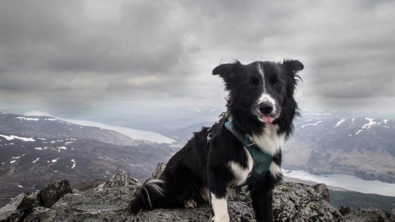 Your pictures of Scotland: 17-24 April - BBC News